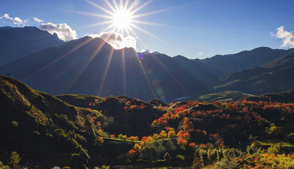 Weather in Vietnam Sapa: A Complete Guide to Sapa's Climate