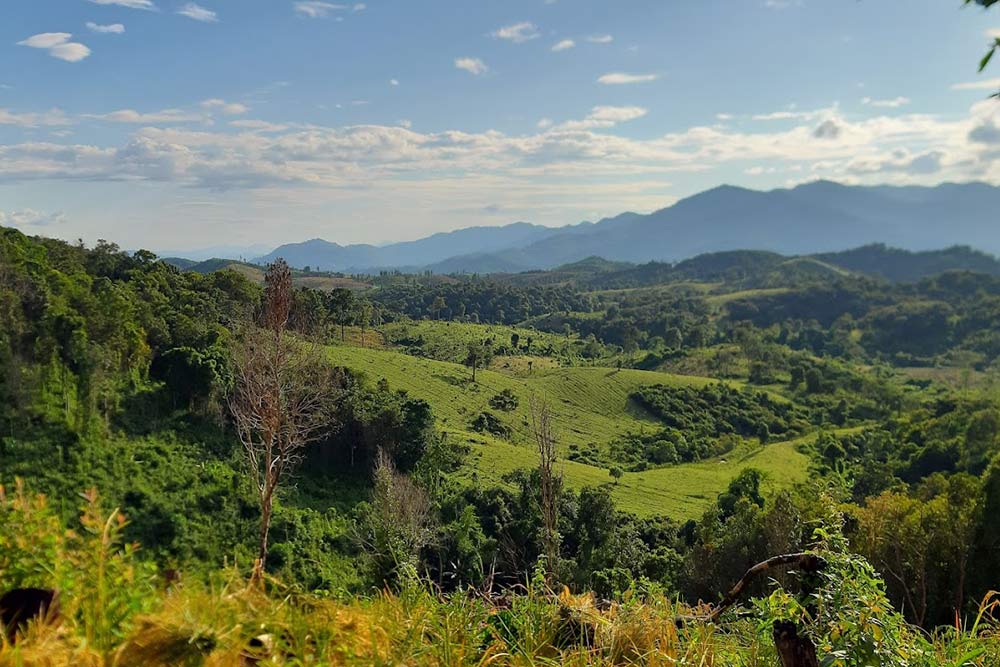 Nam Phouy National Park